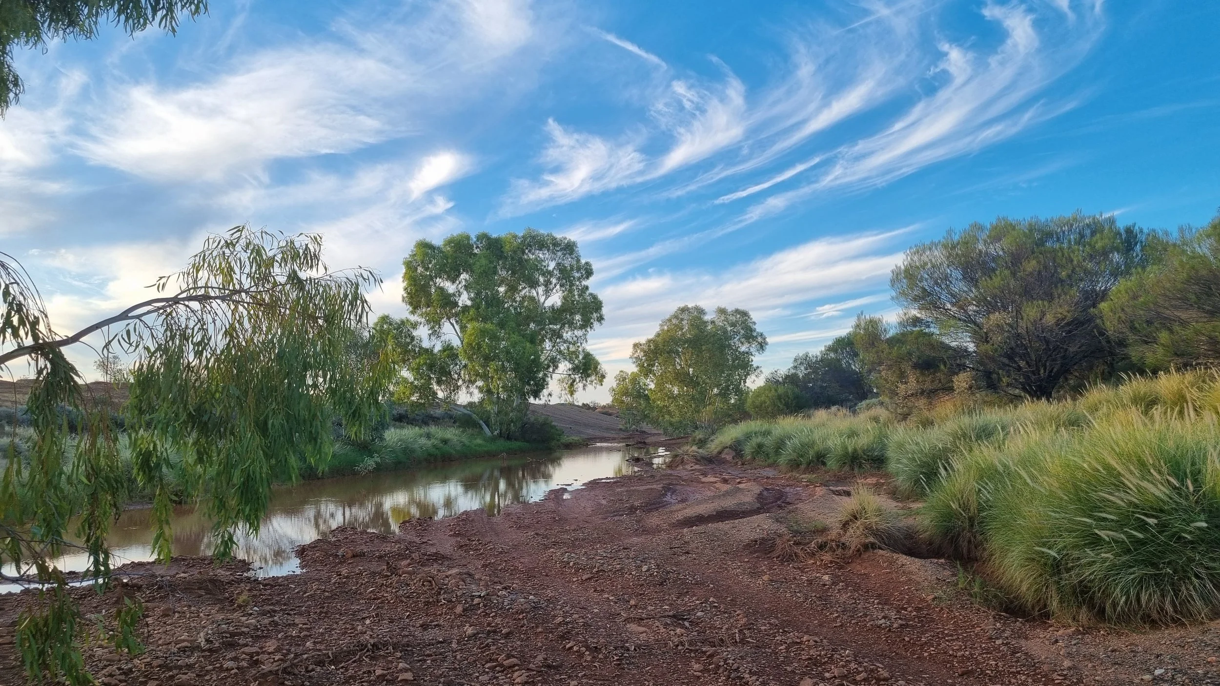 Shire of Mount Magnet