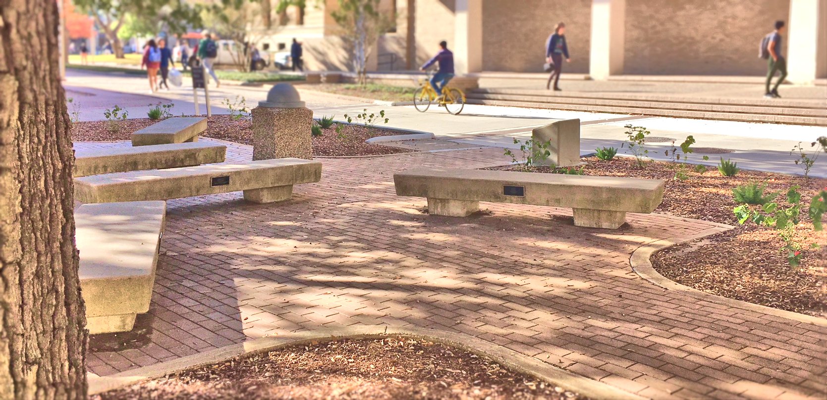 Friends Paver Program — Friends of TAMU Libraries
