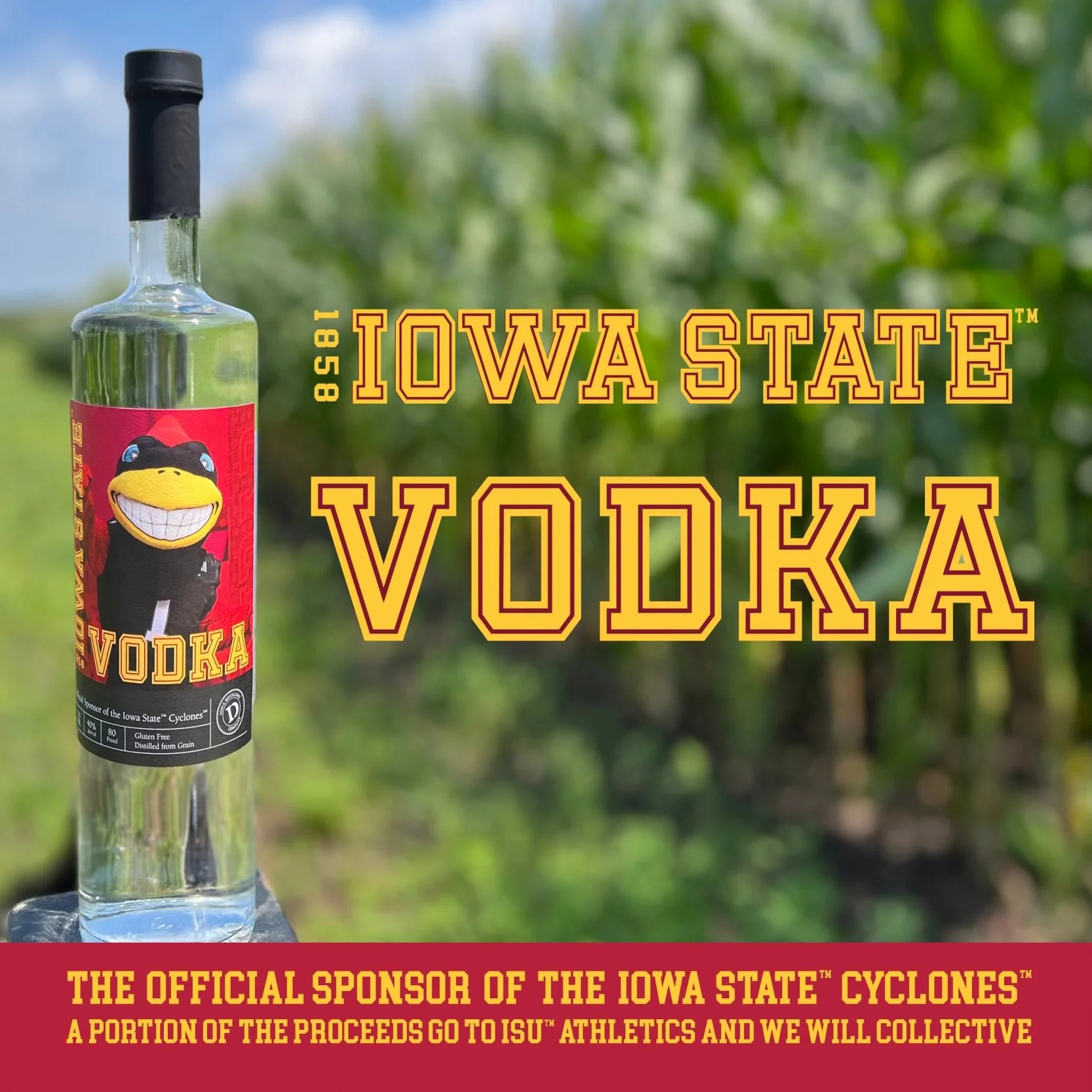 Collaborations | Explore Our Partnerships — We Will Collective