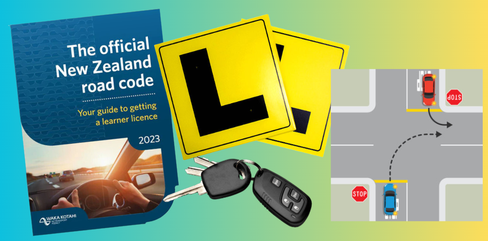 Road Safety — Traffic Fox