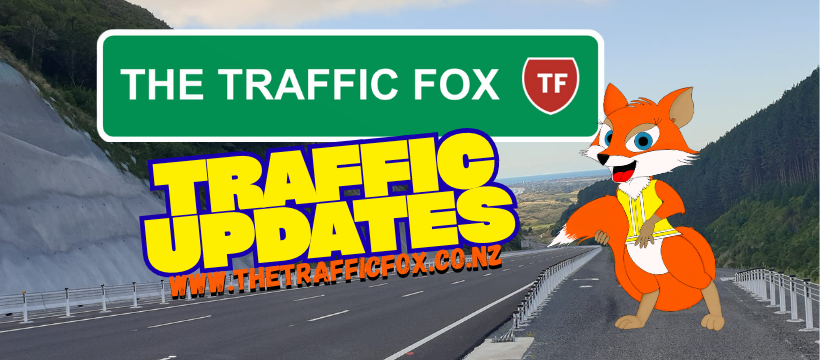 Traffic Fox
