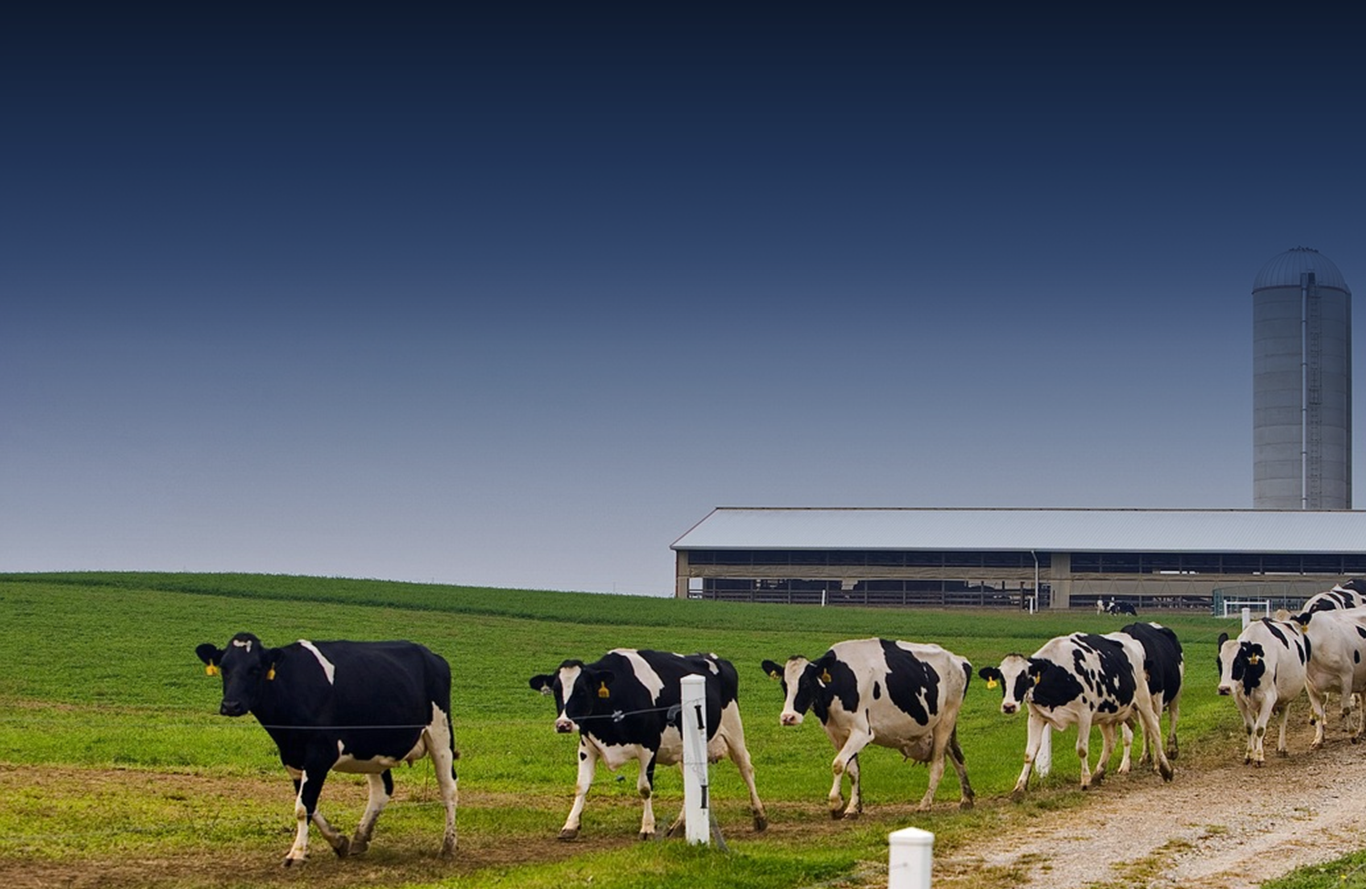 COMPETITIVE MARKETS ACTION