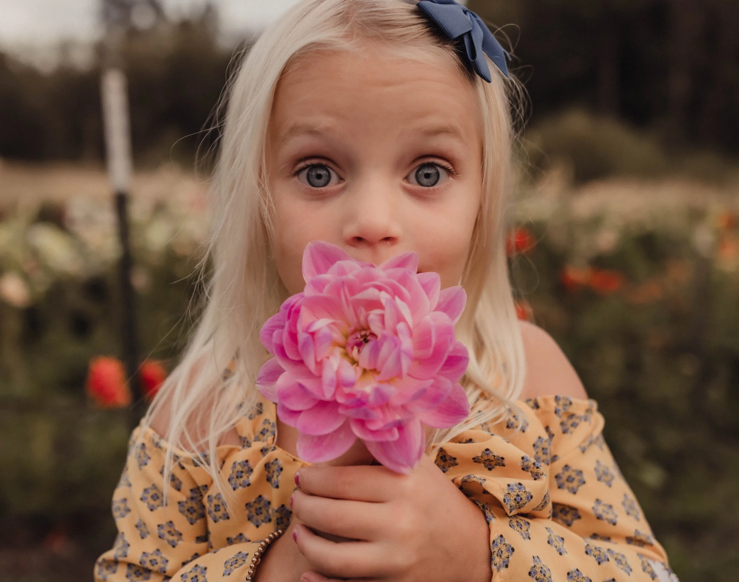 Shop — Heichel Hill Farm