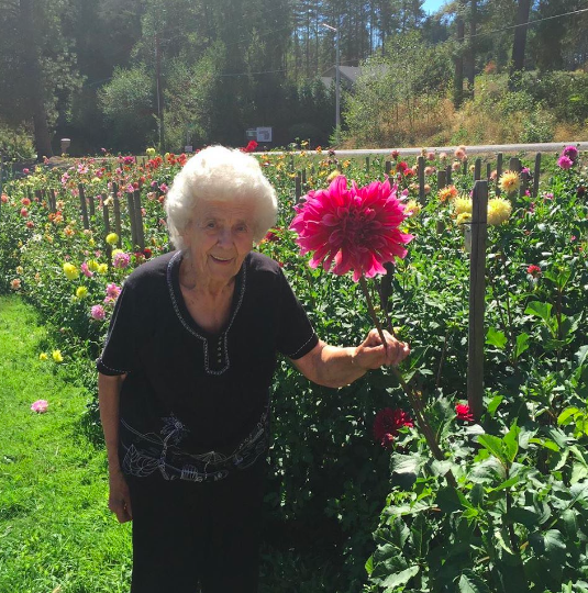 Our Story — Heichel Hill Farm