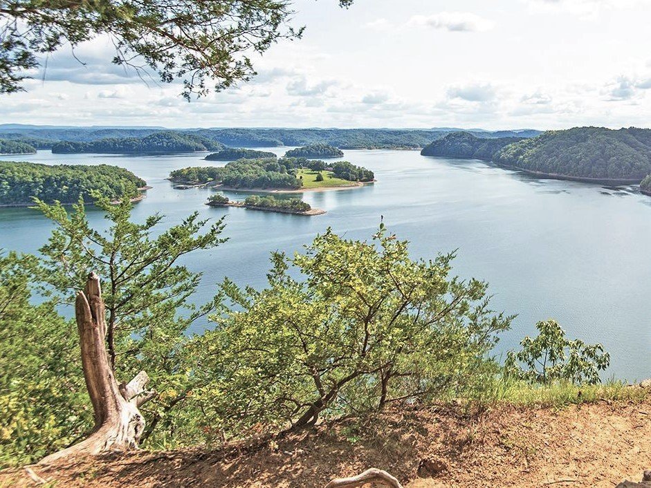 Blog 3 — Self-Rising Mobility