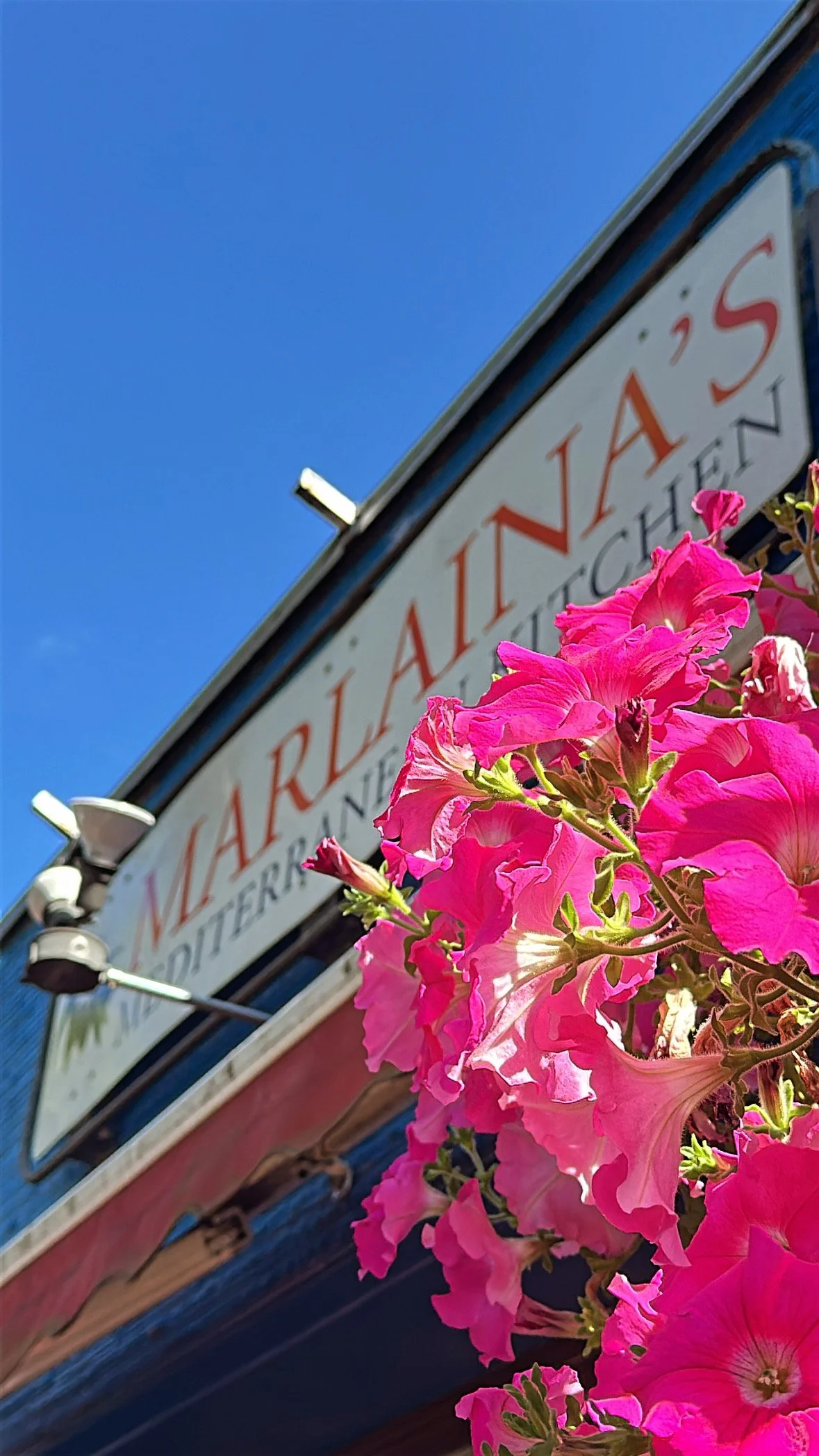 Marlaina's Mediterranean Kitchen