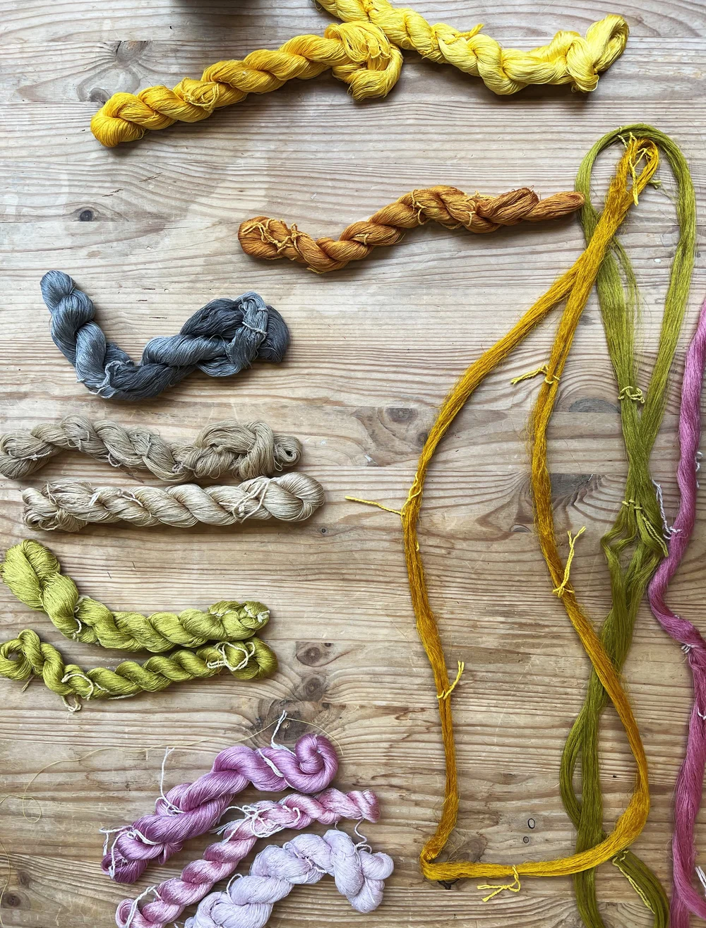 Portfolio — NOWSHIN PRENON