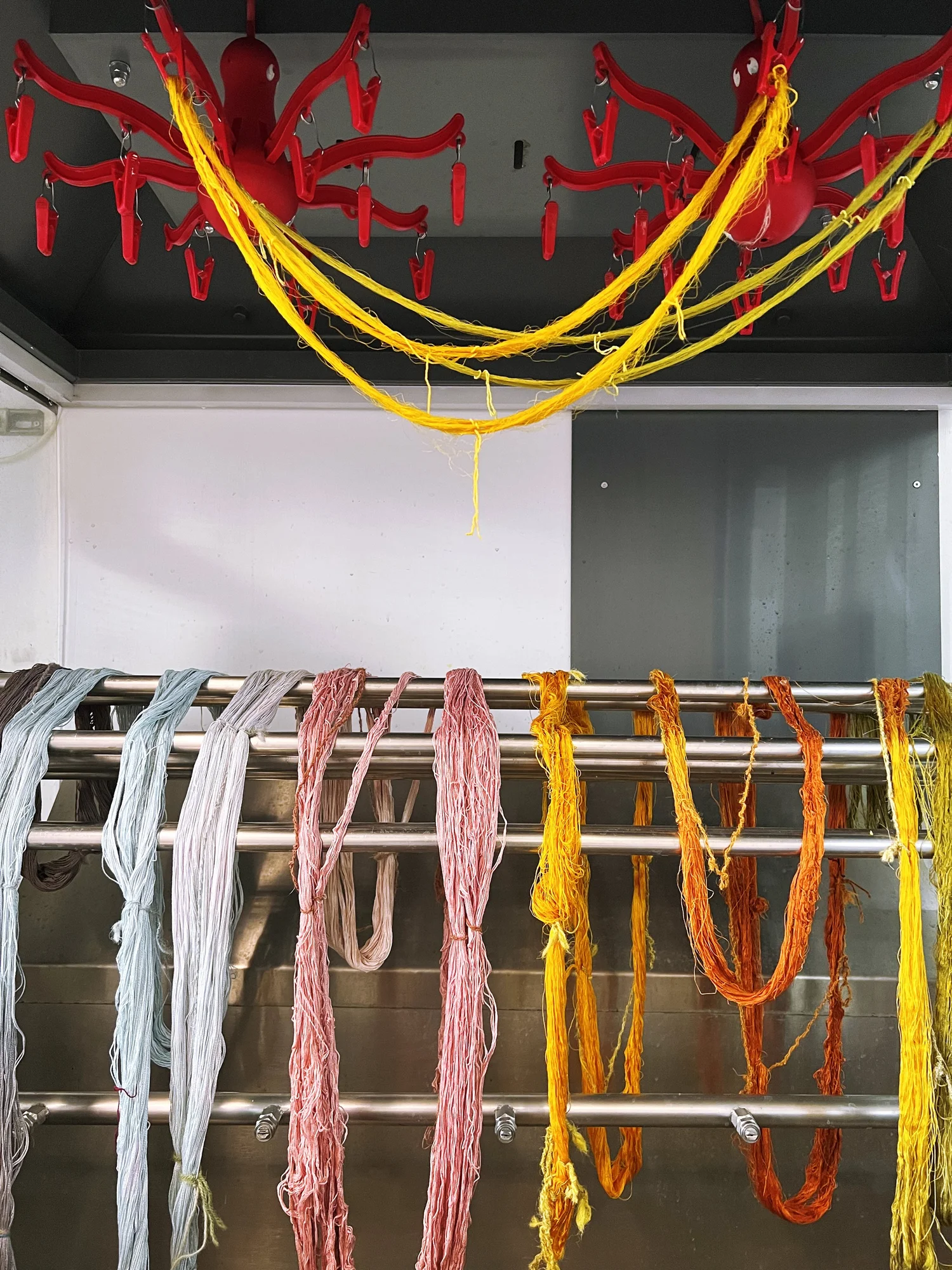 Portfolio — NOWSHIN PRENON