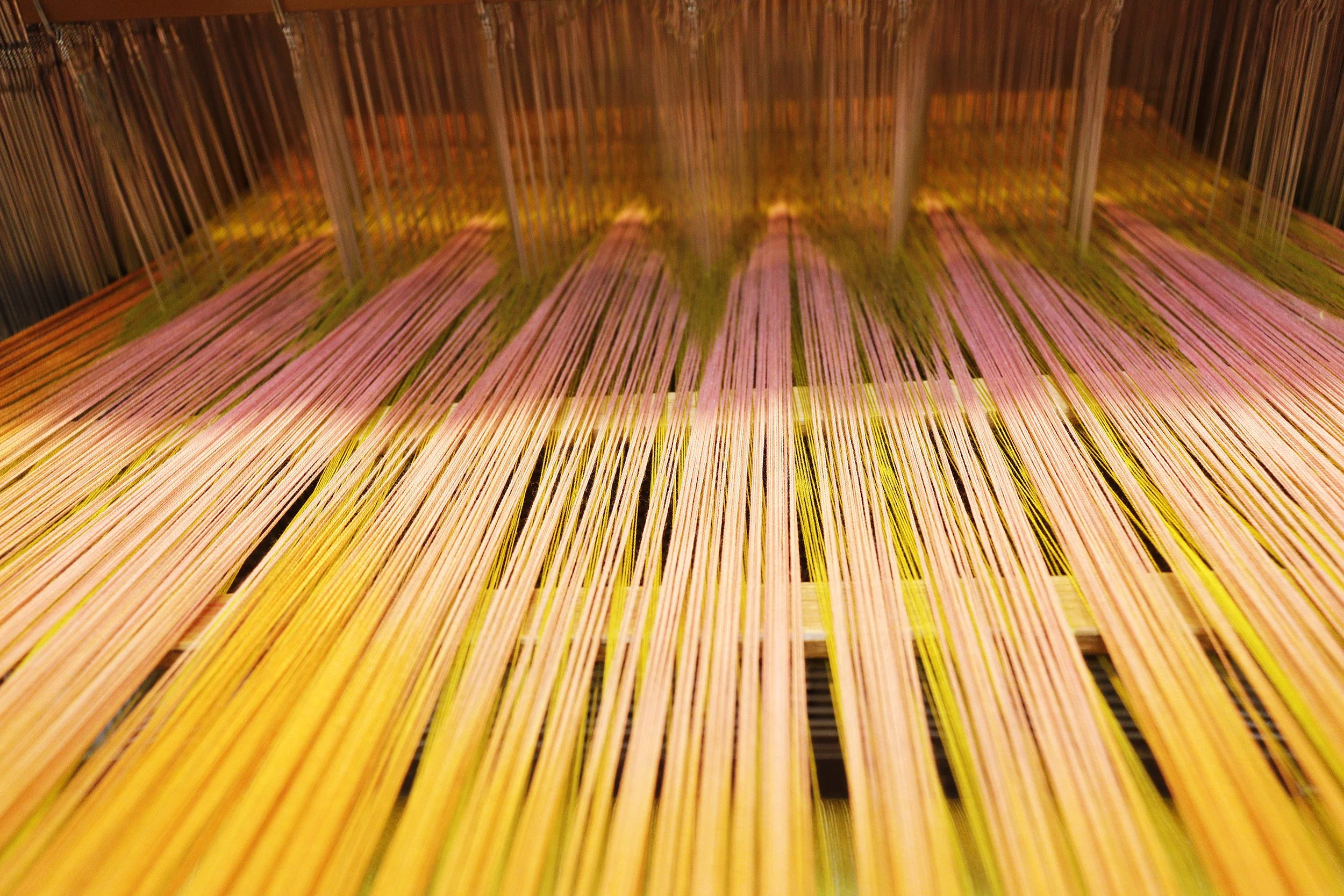 About — NOWSHIN PRENON