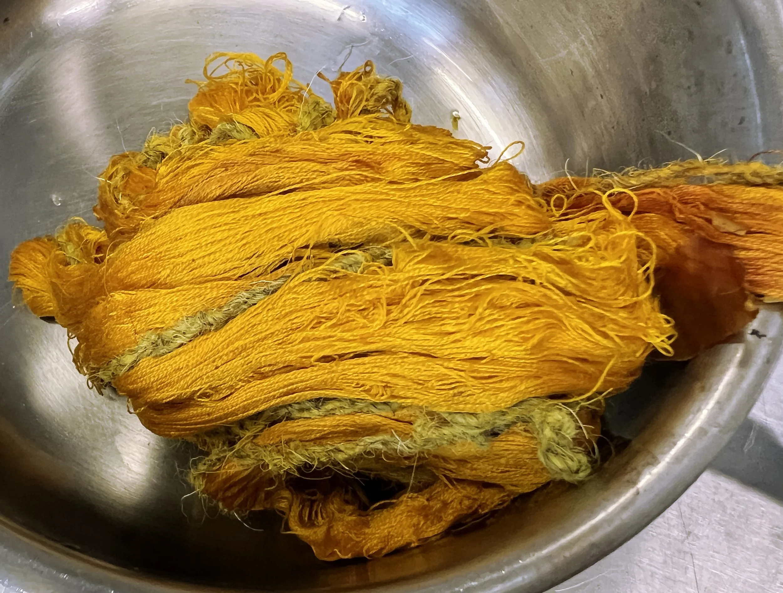 Portfolio — NOWSHIN PRENON