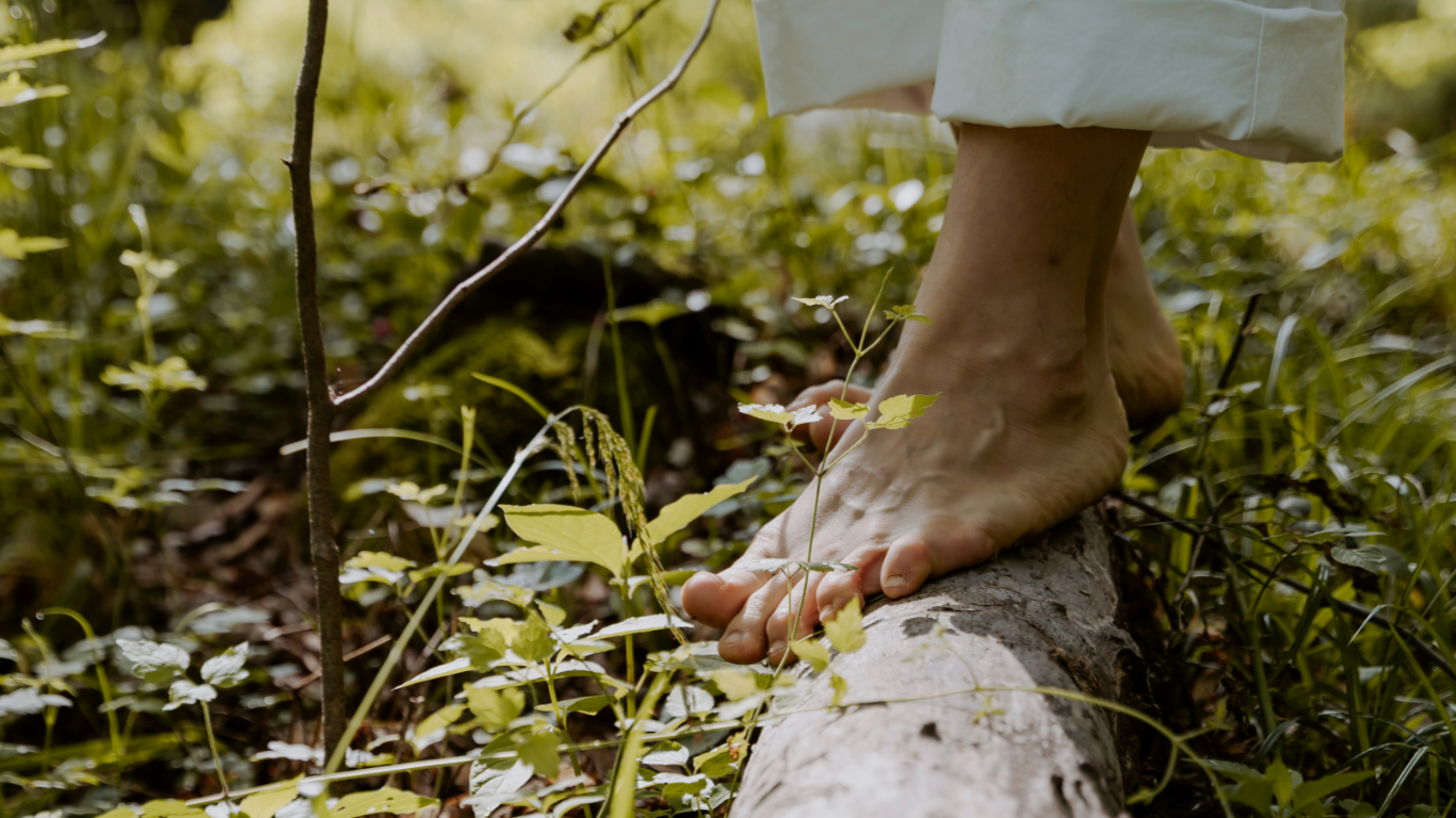 Earthing: The Benefits of Walking Barefoot — Amy Steadman