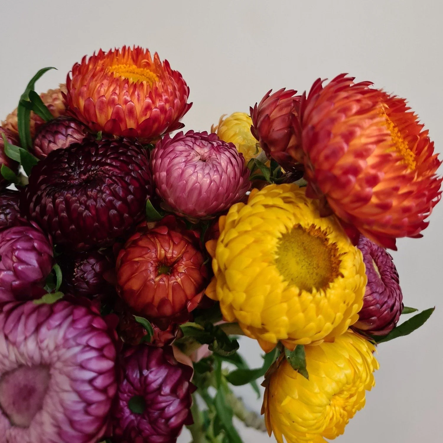 Floral Photo Gallery | Captivating Floral Displays — Forage Flowers ...