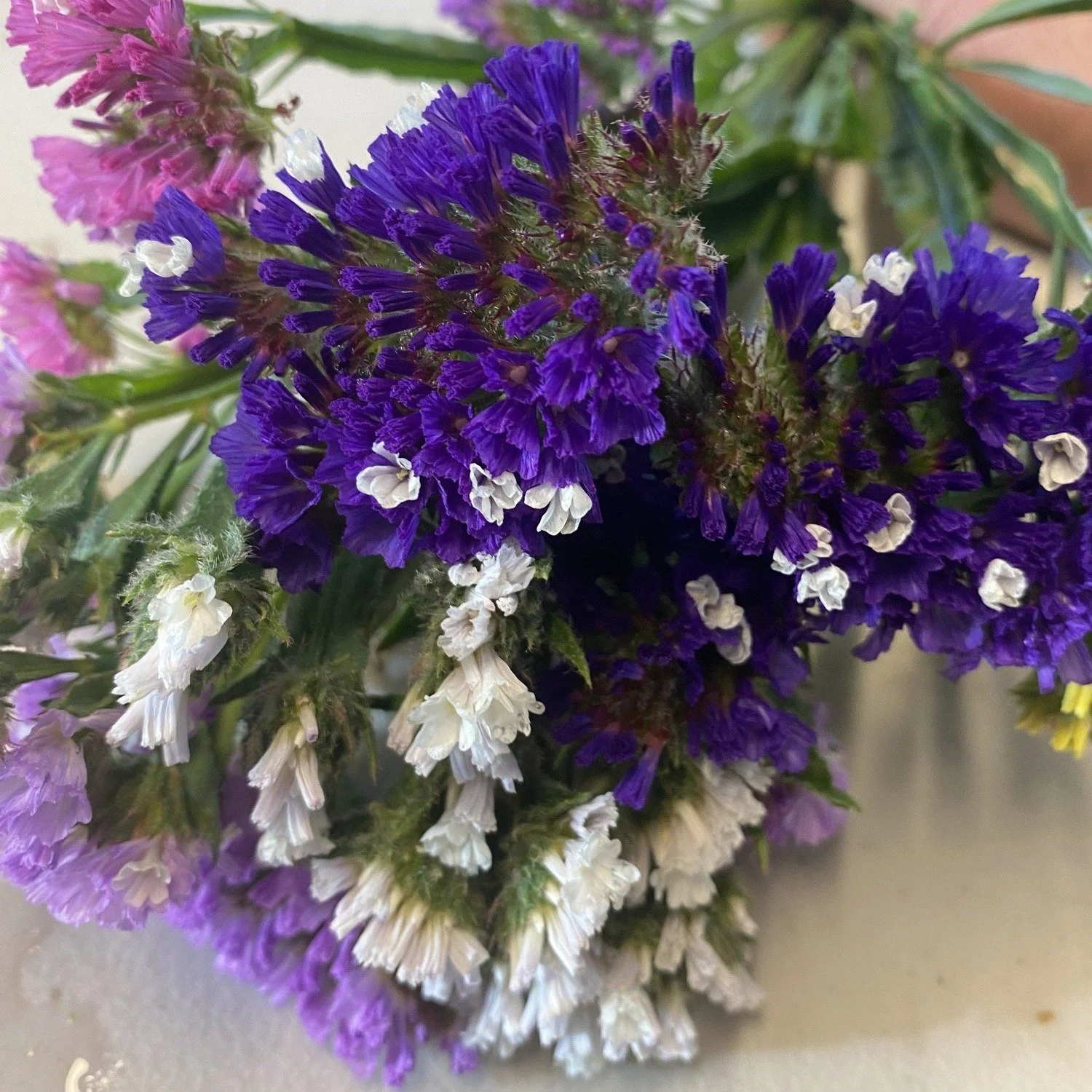 Floral Photo Gallery | Captivating Floral Displays — Forage Flowers ...