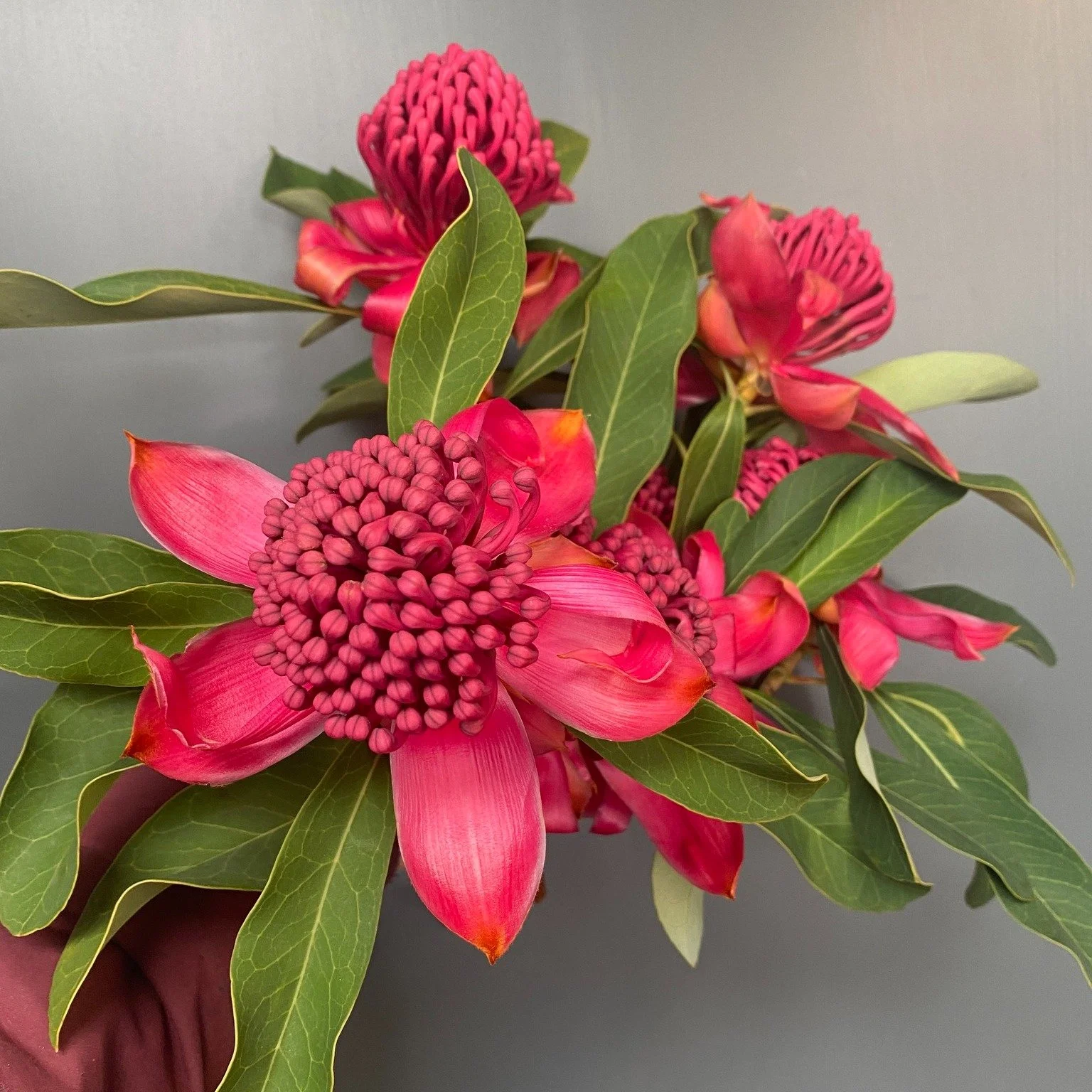 Floral Photo Gallery | Captivating Floral Displays — Forage Flowers ...