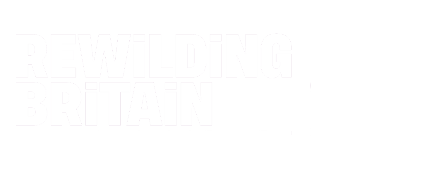 Famous Rewilding Projects Around the World — Grange Project