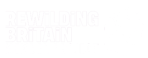 Famous Rewilding Projects Around the World — Grange Project