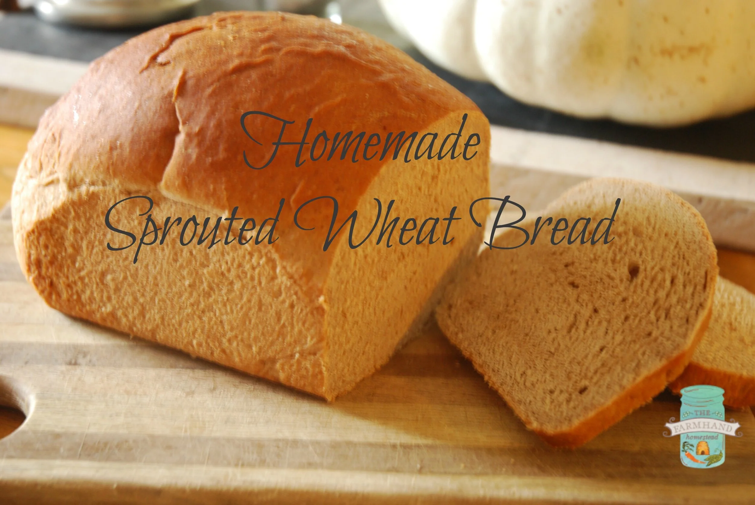 Homemade Sprouted Wheat Bread — Well Folk Revival