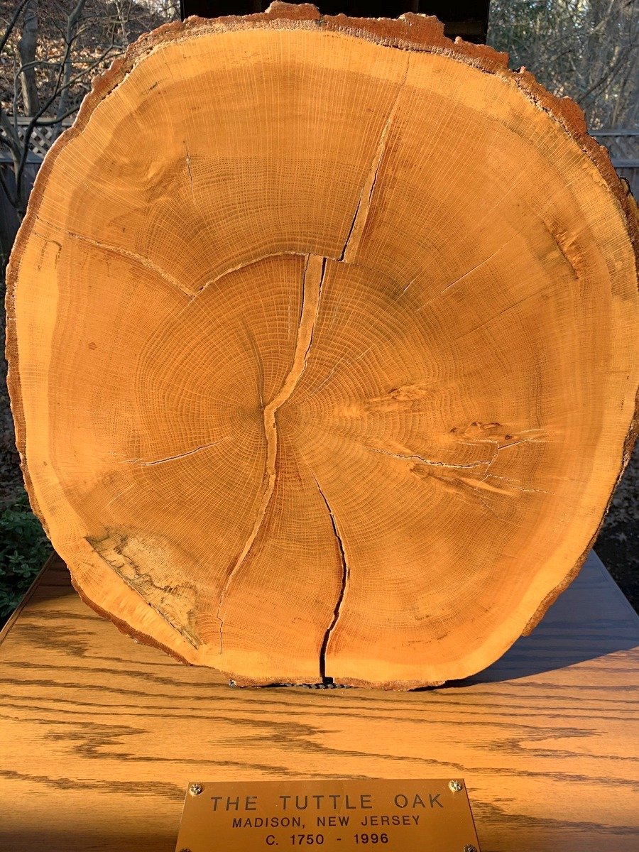 1976-Present Madison Borough — Madison Historical Society