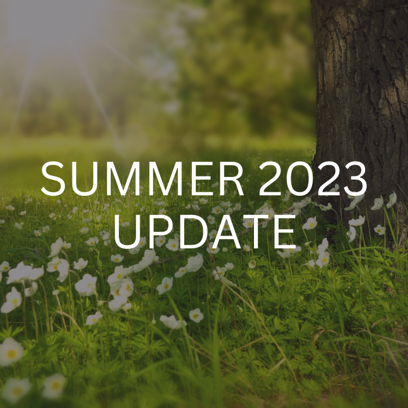 FEB Central Church Planting — Church Planting Updates