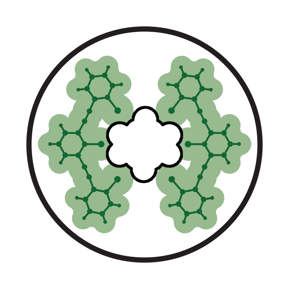 Research — Gonzalez Lab