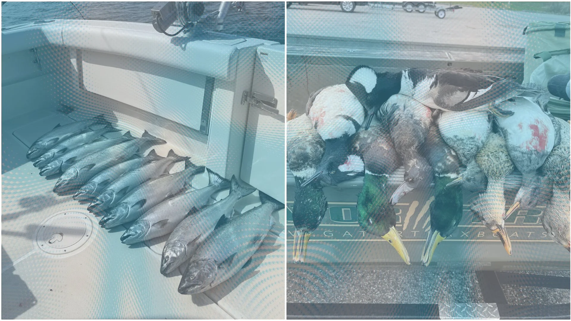 Ready to start your adventure? — Fish N Fowl Guide Service