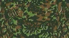 German Camouflage of WWII