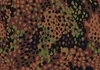 German Camouflage of WWII