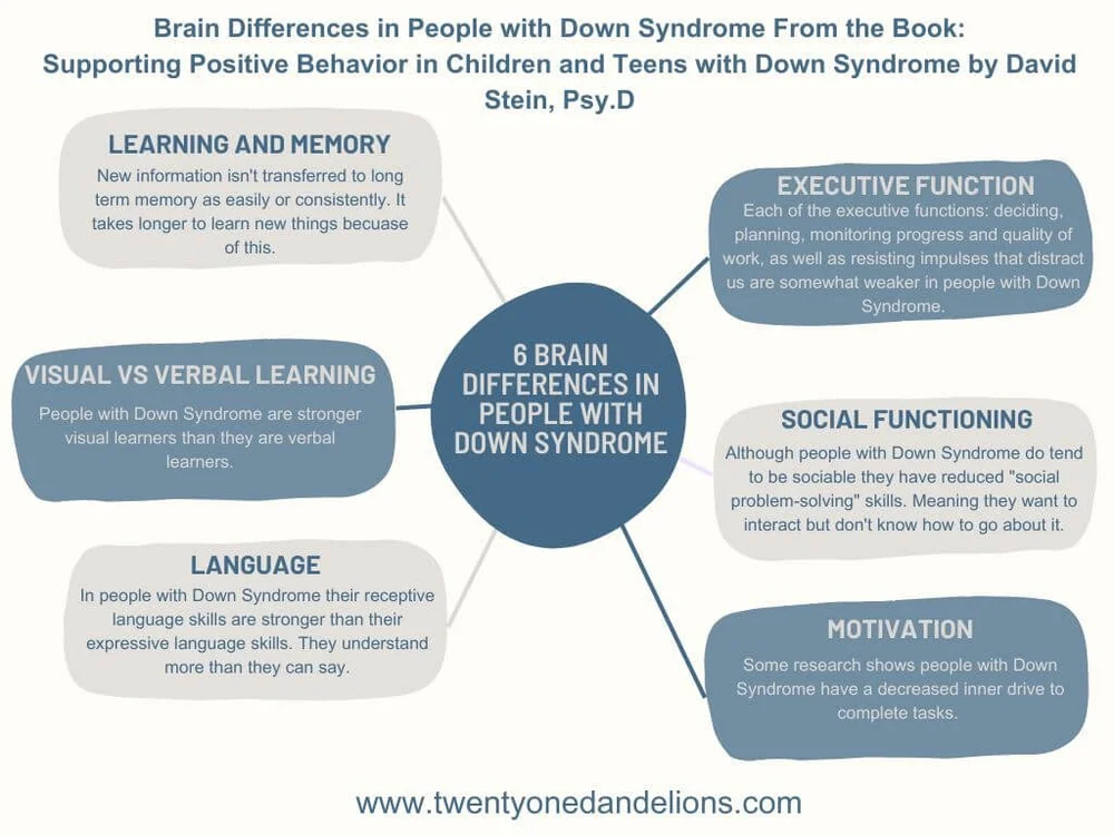 6 Brain Differences In Your Child With Down Syndrome And How It Impacts ...