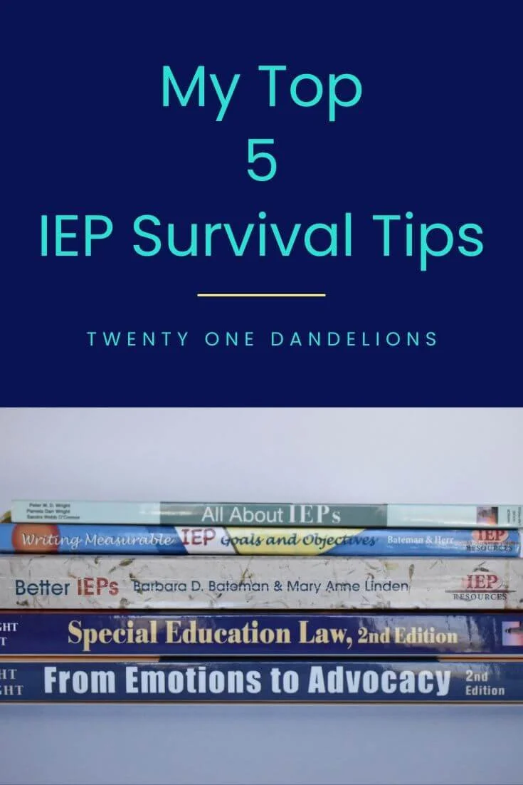 My Top 5 IEP Survival Tips For The Mom Of A Child With Special Needs ...