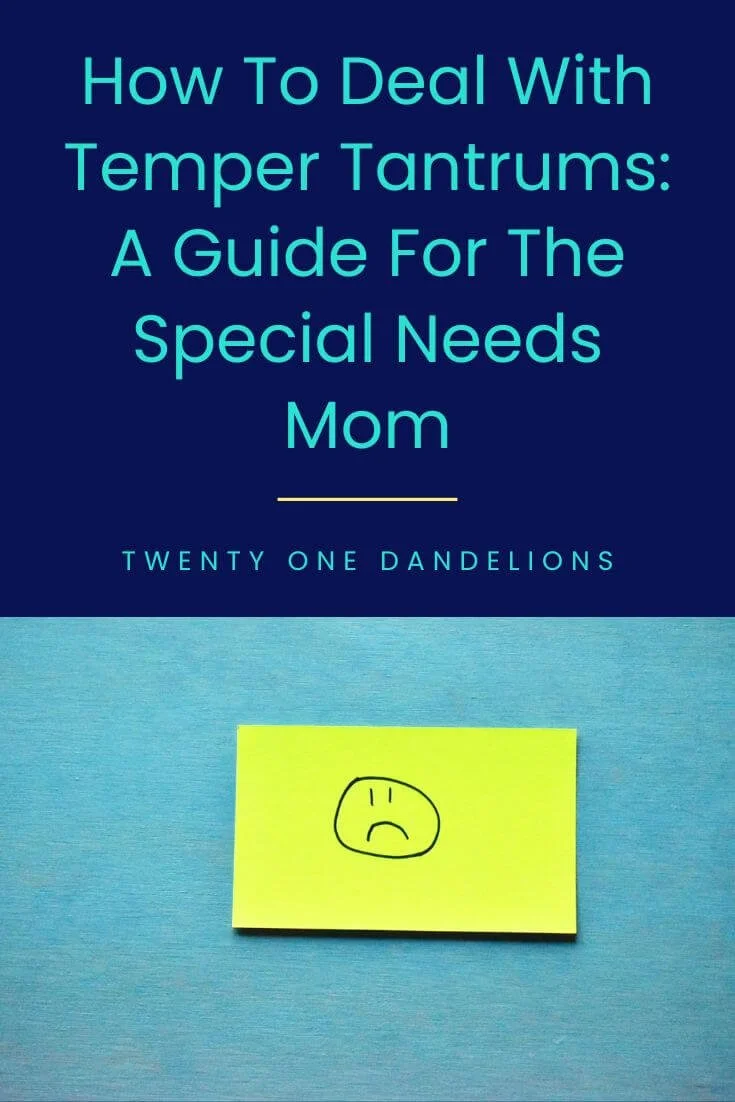 How To Deal With Temper Tantrums: A Guide For The Special Needs Mom ...