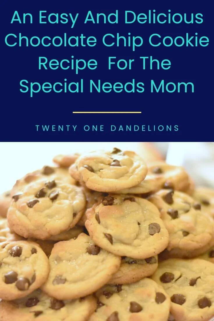 An Easy And Delicious Chocolate Chip Cookie Recipe For The Special ...