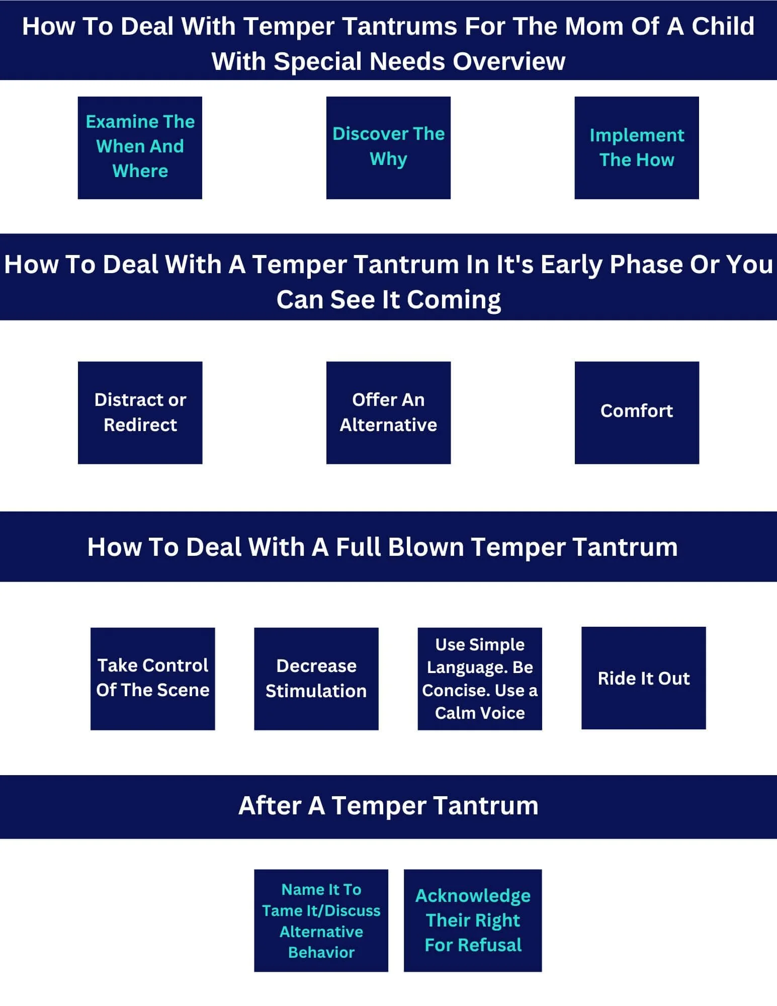 How To Deal With Temper Tantrums: A Guide For The Special Needs Mom ...