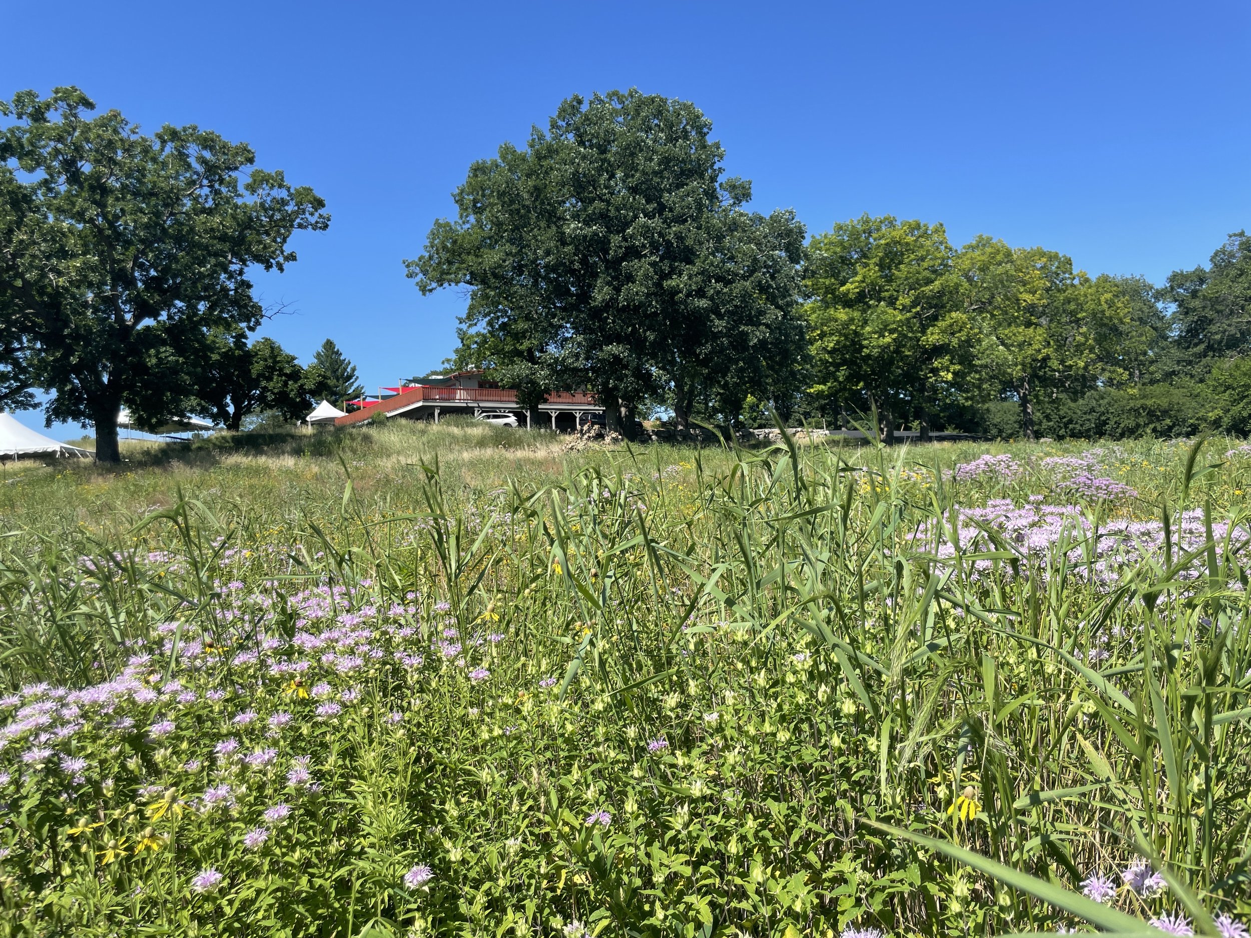 History — Southern Wisconsin Land Conservancy