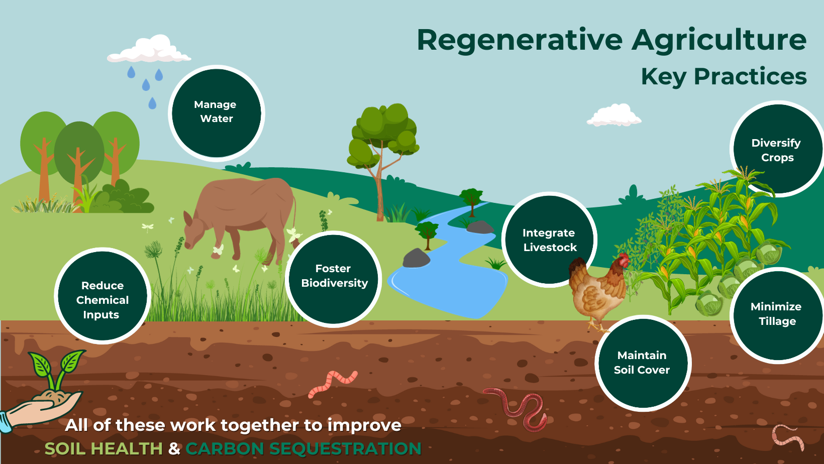 Regenerative Agriculture — Southern Wisconsin Land Conservancy