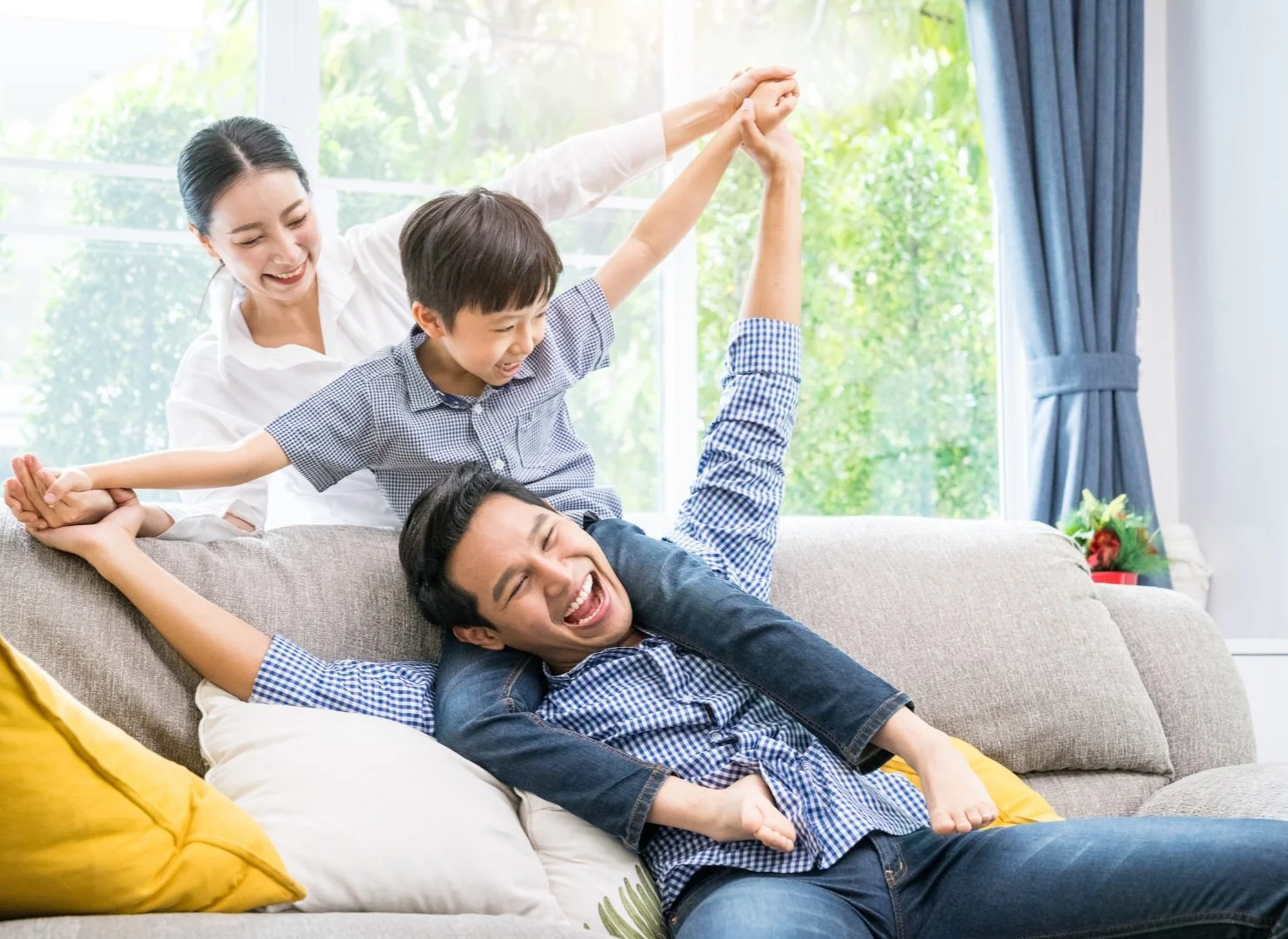 BARHII - Bay Area Regional Health Inequities Initiative