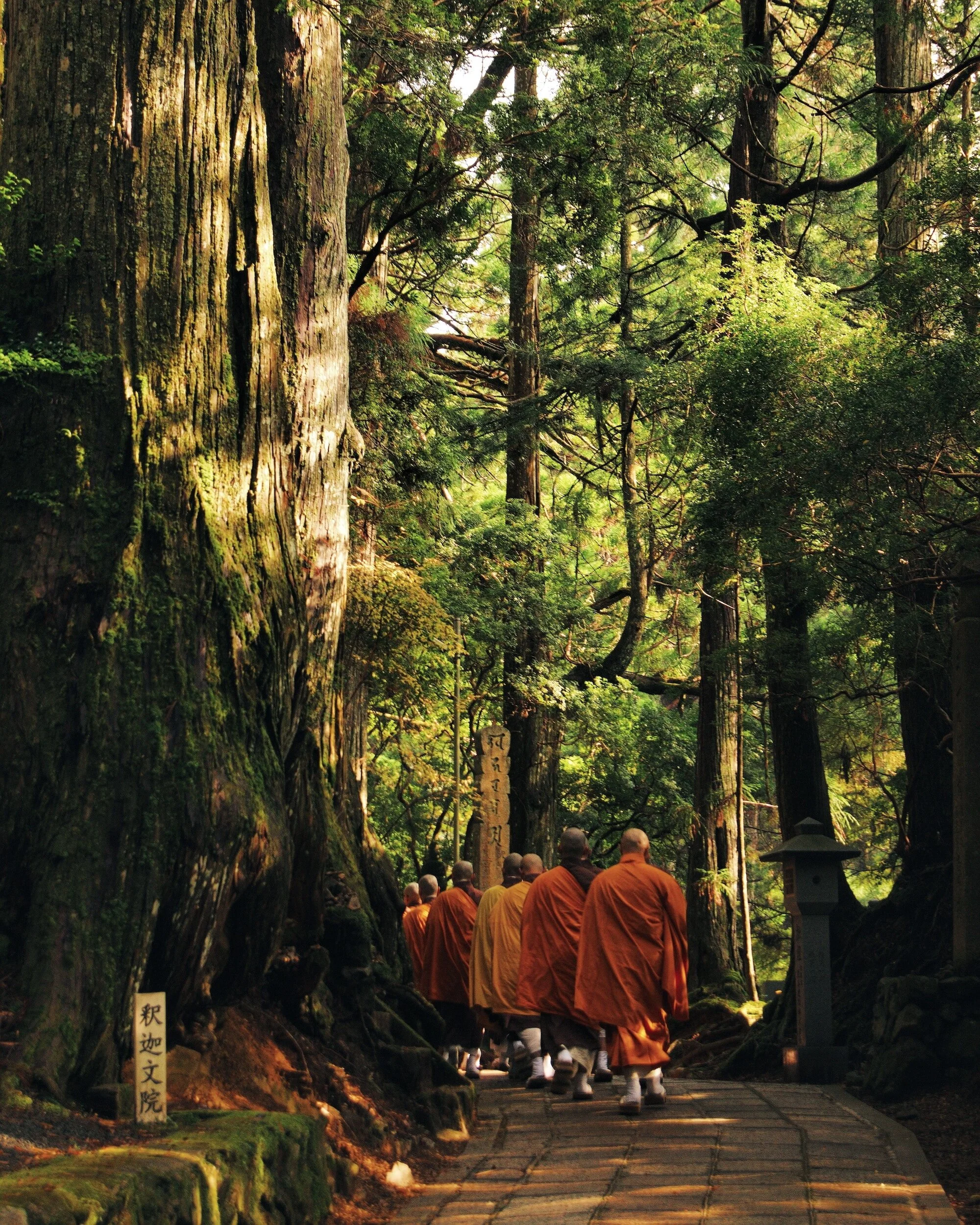 The Burning Monk: Neuroscience & Transcendent Consciousness — Ultra ...