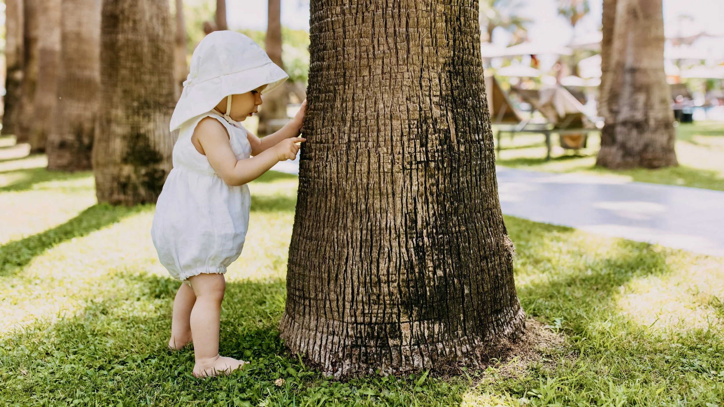 Beautiful Christian Life