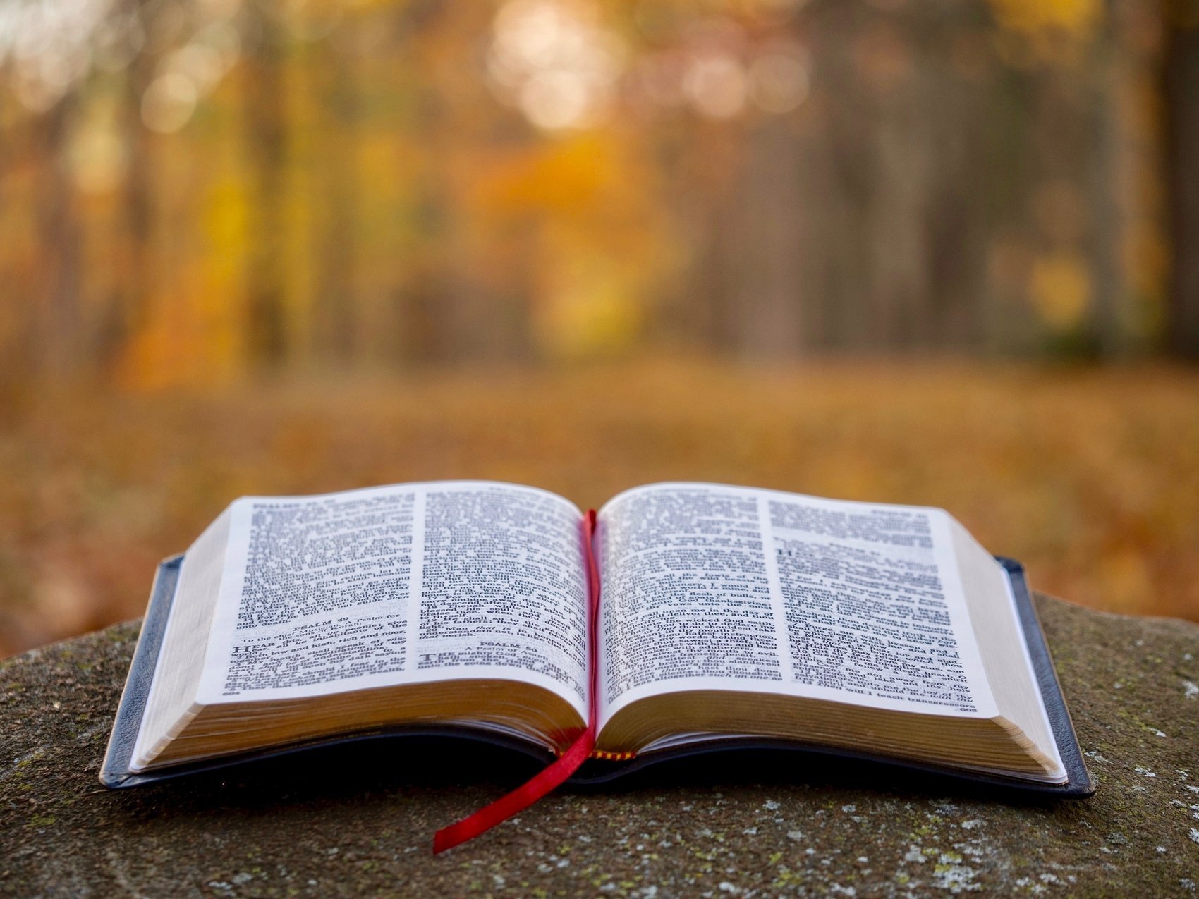 What Is the Most Important Thing Taught in the Bible? — Beautiful ...