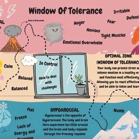 Understanding the Window of Tolerance: A Path to Managing Stress and ...