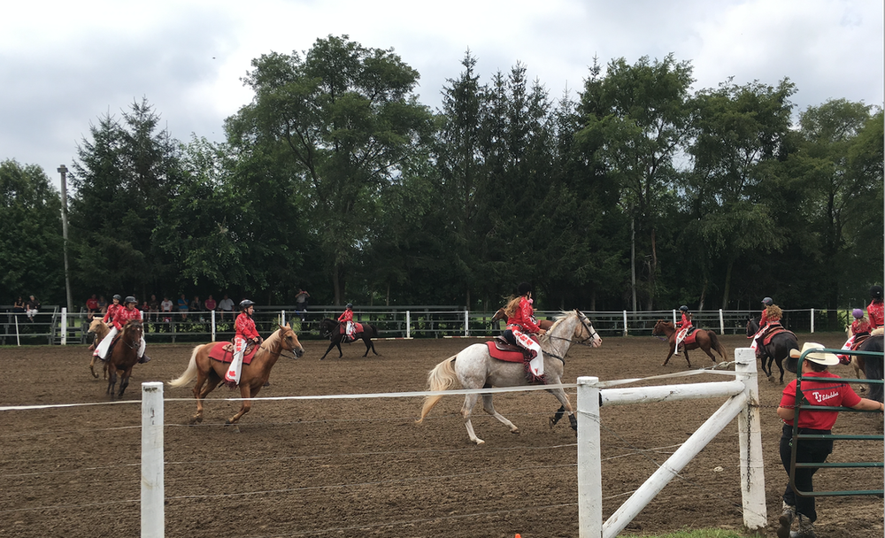 Canadian Cowgirls — TJ Stables