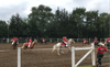Canadian Cowgirls — TJ Stables