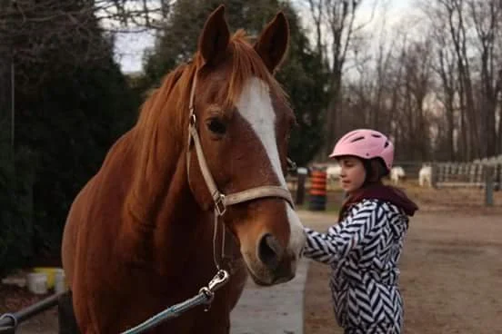 TJ Stables