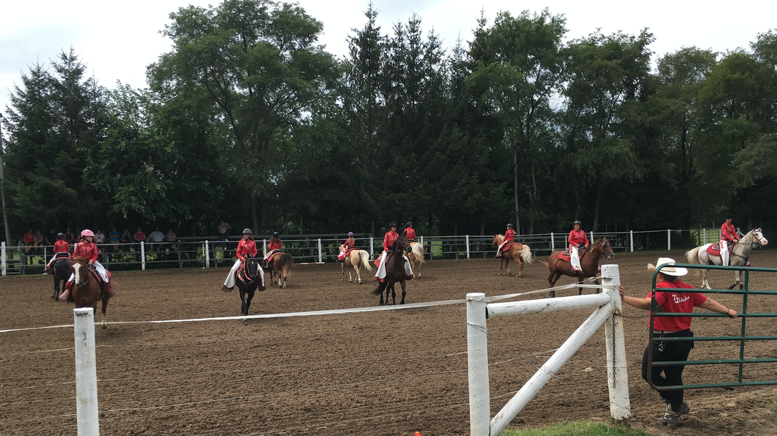 Canadian Cowgirls — TJ Stables