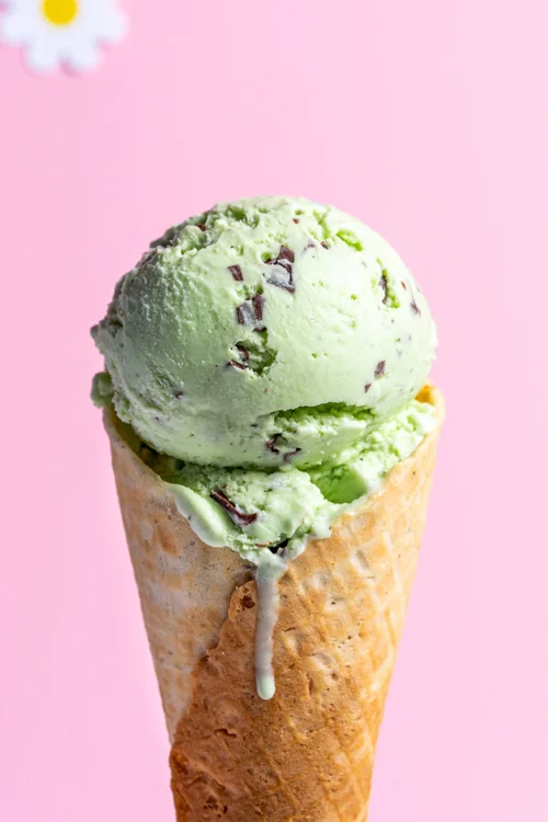 Wild Child Ice Cream