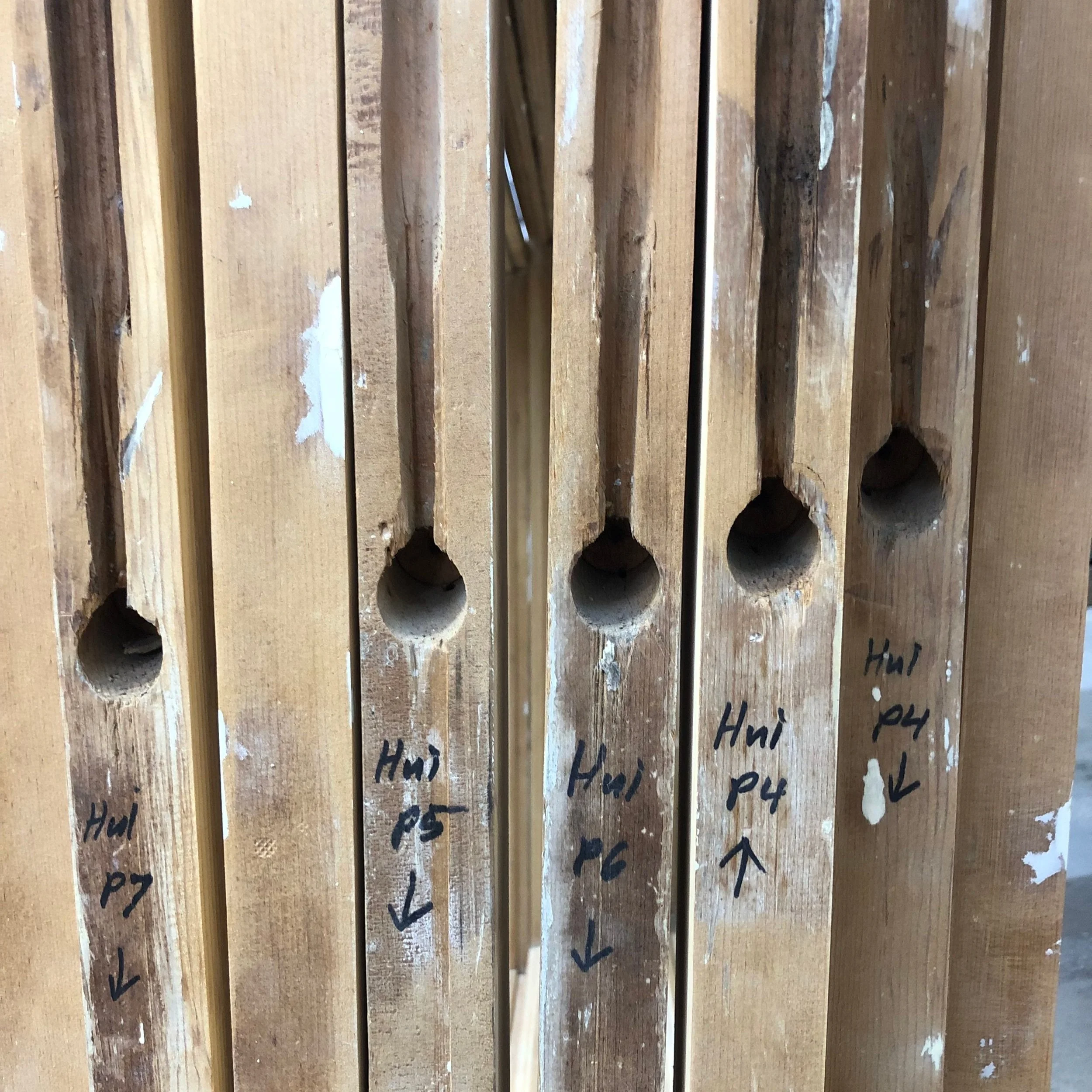 Putty & Points Window Restoration