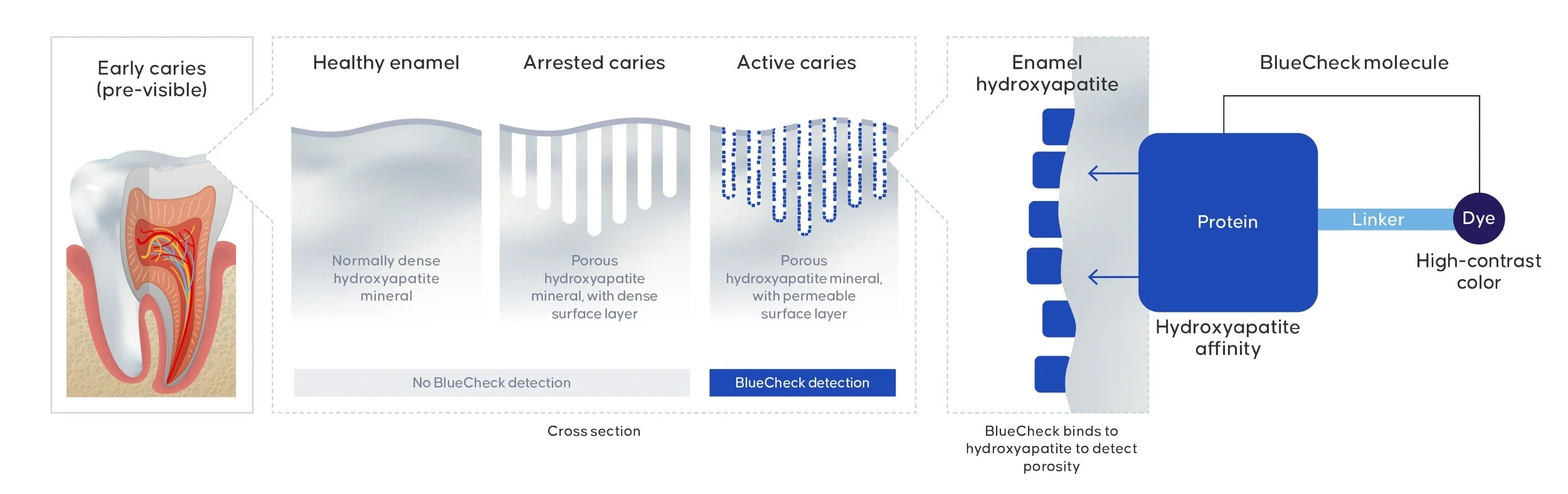 In practice — BlueCheck Product Site
