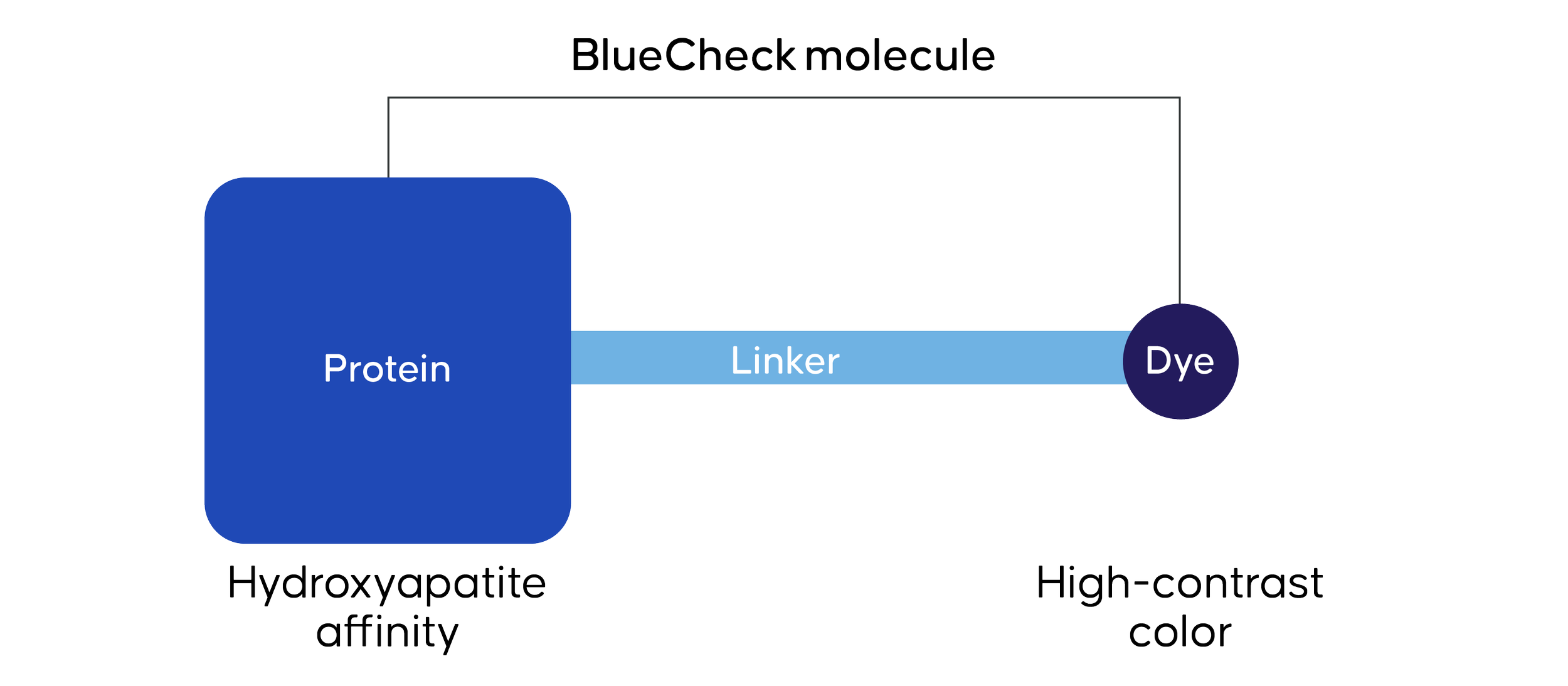 In practice — BlueCheck Product Site
