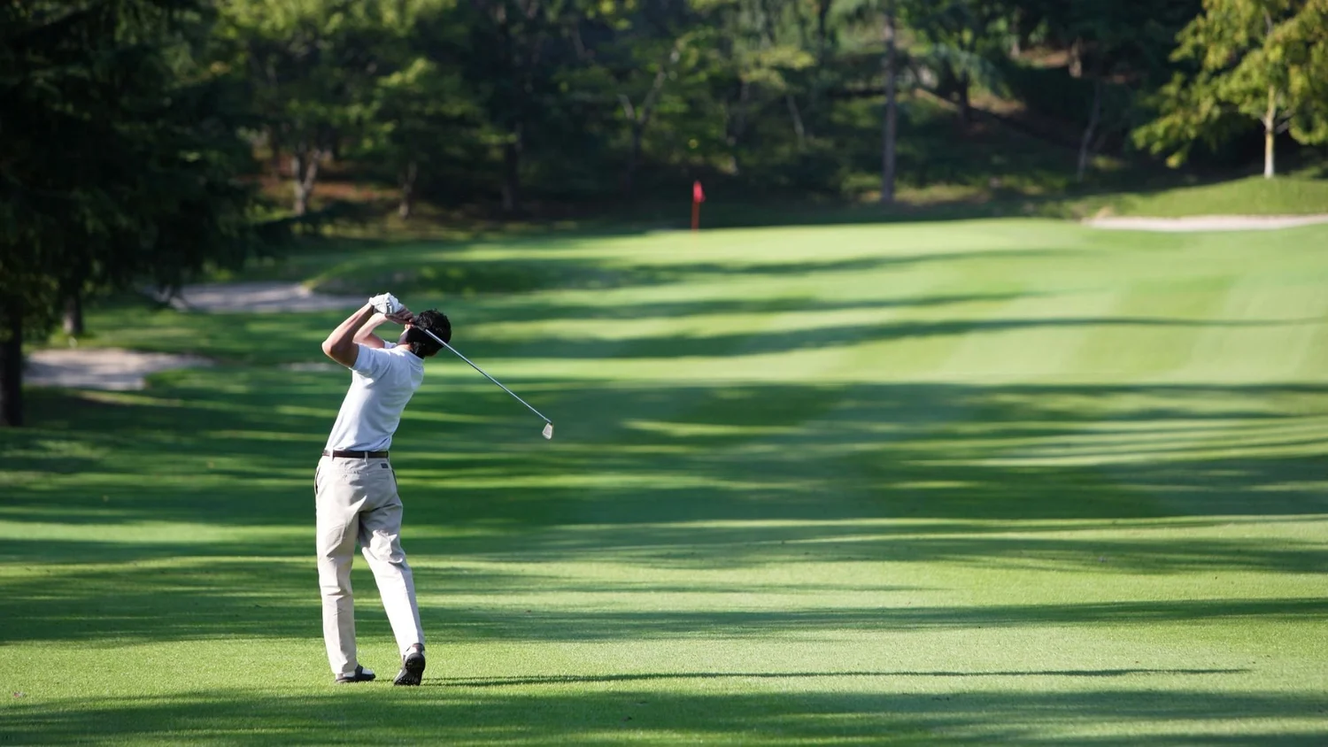 The Workout Routines of Professional Golfers — Perform for Golf