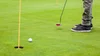 The Workout Routines of Professional Golfers — Perform for Golf