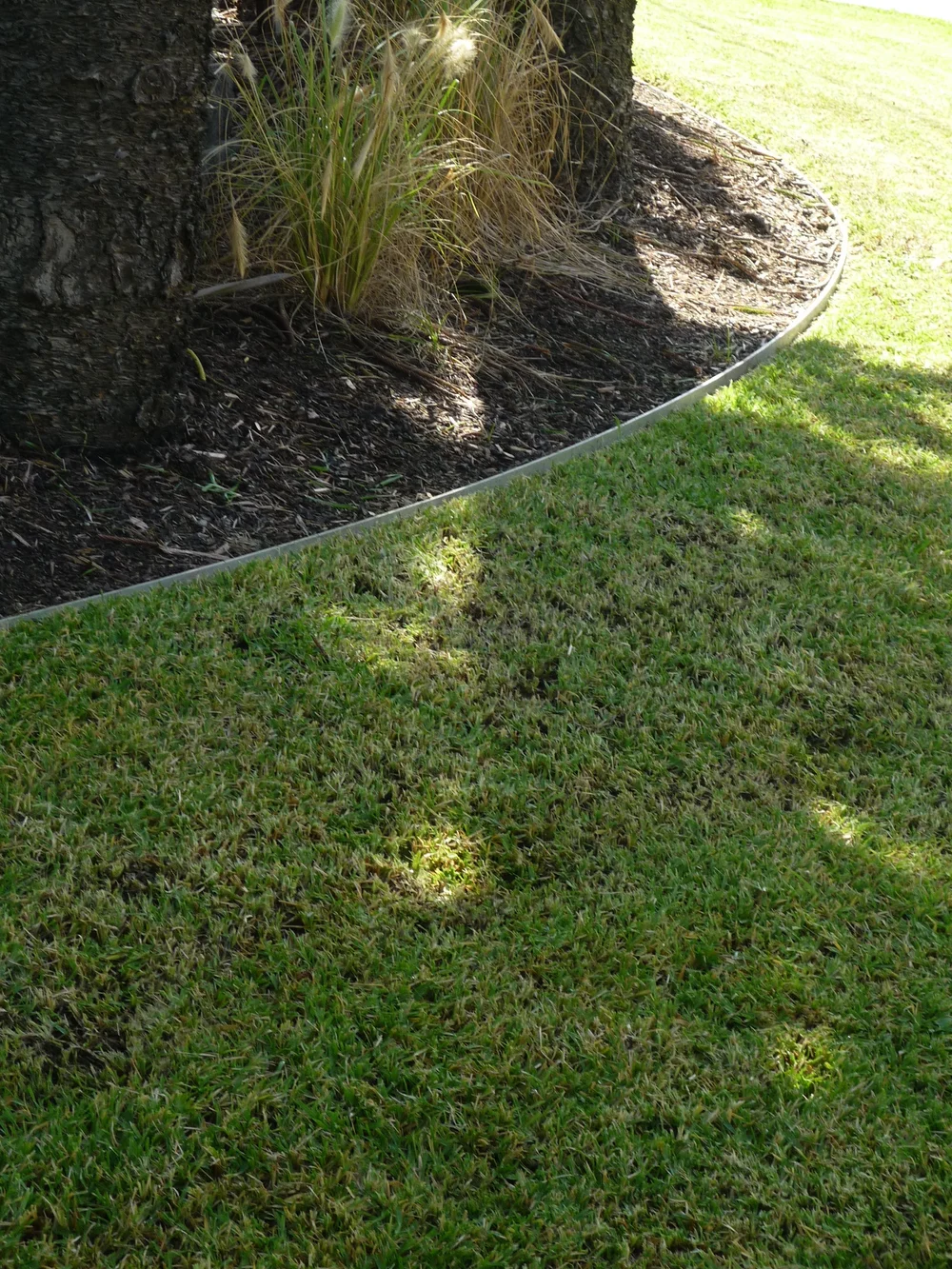 Product Catalogues — Hedge